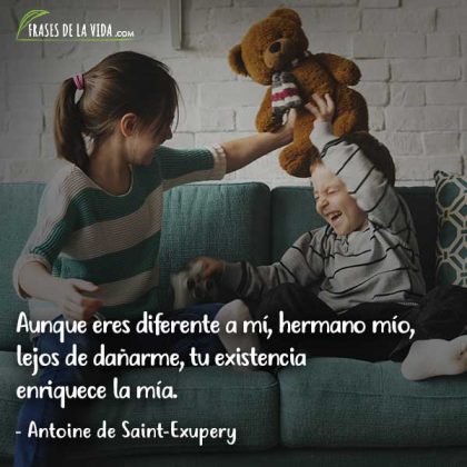 70 Frases para Hermanos | Sólo ellos las entenderán [Con Imágenes]