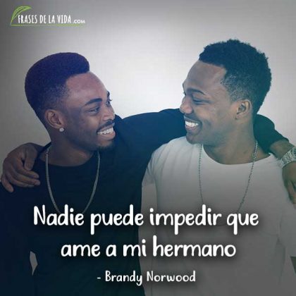 70 Frases para Hermanos | Sólo ellos las entenderán [Con Imágenes]