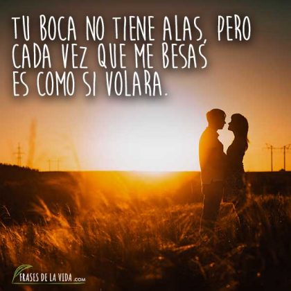 110 Frases de amor para whatsapp | Amor online [Con Imágenes]