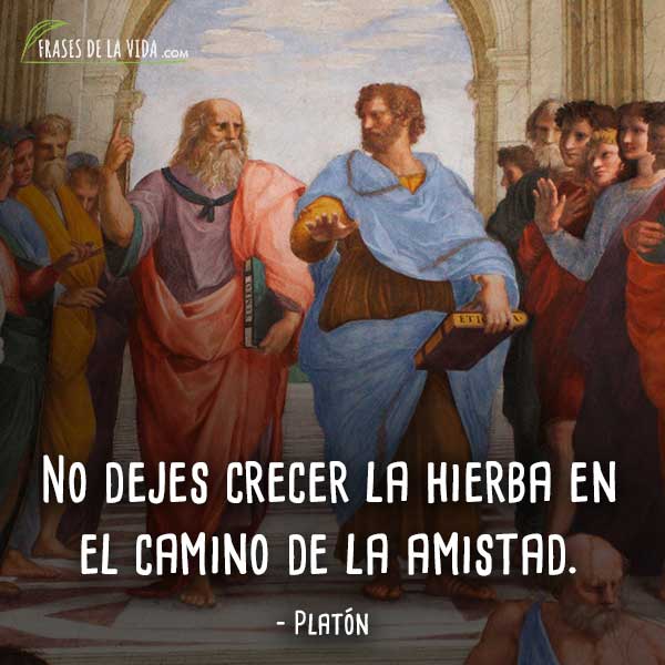 120 Frases de Platón | Pilar esencial de la filosofía [Con Imágenes]