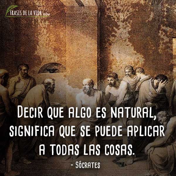 150 Frases de Sócrates: padre de la filosofía occidental [Con Imágenes]