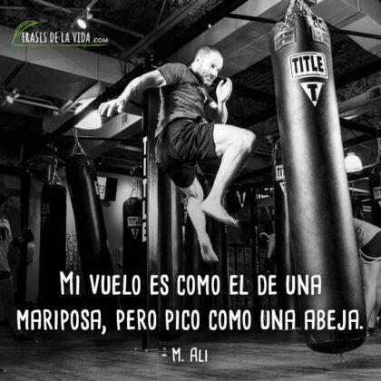 120 Frases de boxeo: lucha dentro y fuera del ring [Con Imágenes]