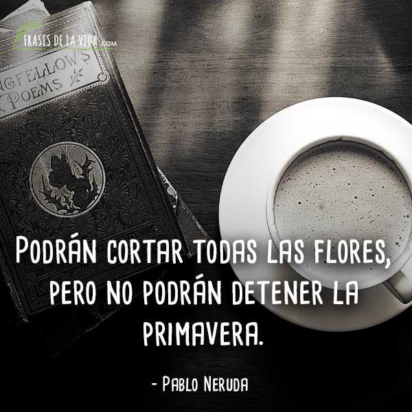 120 Frases poéticas: la belleza de las palabras [Con imágenes]