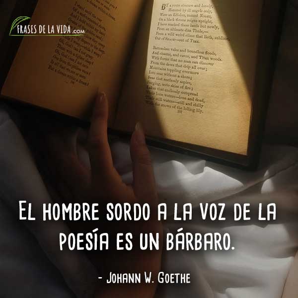 120 Frases poéticas: la belleza de las palabras [Con imágenes]