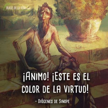 50 Frases de Diógenes de Sinope | El padre del cinismo filosófico