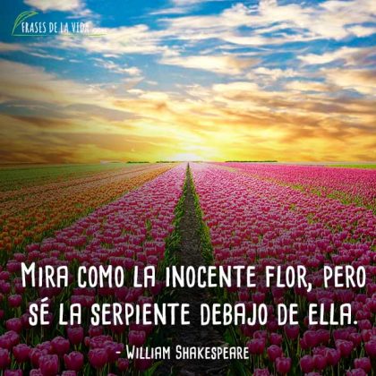 100 Frases de Flores | Belleza y frescor natural e inspirador [Con ...