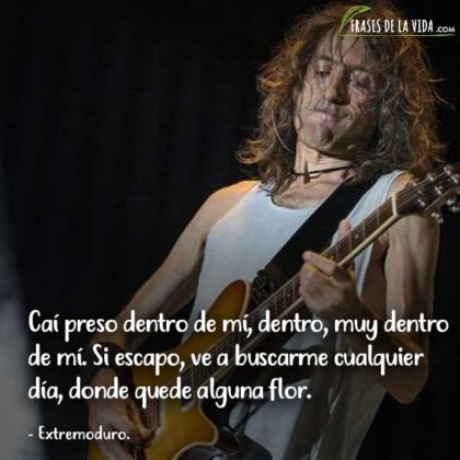 100 Frases de Rock Nacional | Un estilo emblemático del rock and roll