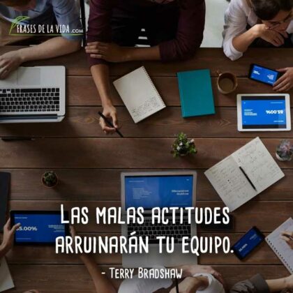 130 Frases de Equipo | El poder de la unión - Frases de la vida