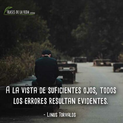 Frases de Errores | Para aprender de ellos y mejorar - Frases de la vida