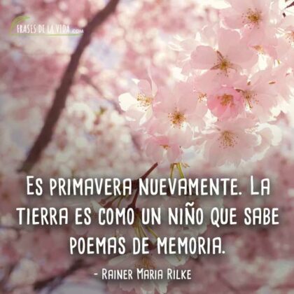 100 Frases de Primavera | La estación de la esperanza