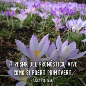 100 Frases de Primavera | La estación de la esperanza