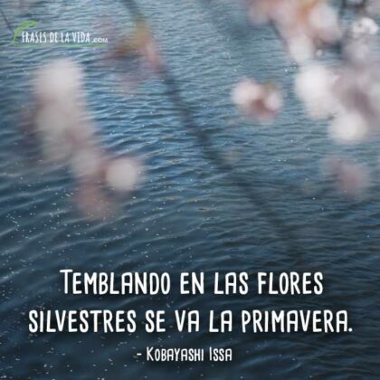100 Frases de Primavera | La estación de la esperanza