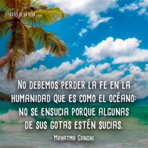 100 Frases de Playa | Un lugar que nos hace disfrutar