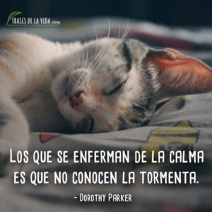 100 frases de Relax | Tomarse un respiro es necesario
