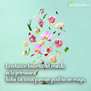 22 Frases de Mayo | El mes del florecimiento y la esperanza
