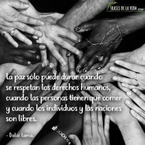 20 Frases Sobre Los Derechos Humanos Perfectas Para Luchar Por Ellos