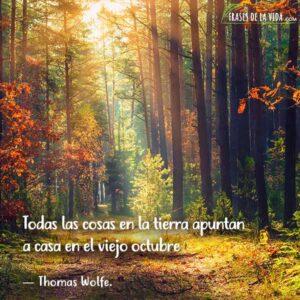 30 Frases de octubre | El mes de belleza y colores otoñales