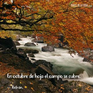 30 Frases de octubre | El mes de belleza y colores otoñales