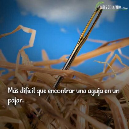 80 Refranes y dichos graciosos | Lecciones de vida divertidas