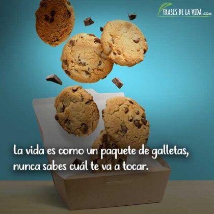 80 Refranes y dichos graciosos | Lecciones de vida divertidas