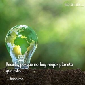 30 Frases de reciclaje | Palabras guía hacia un futuro sostenible