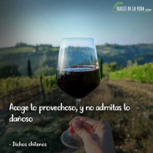 75 dichos y refranes chilenos | Frases de la cultura de Chile