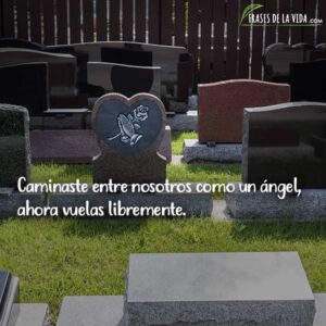 50 frases para lápidas | ¡Descubre estas citas conmemorativas!