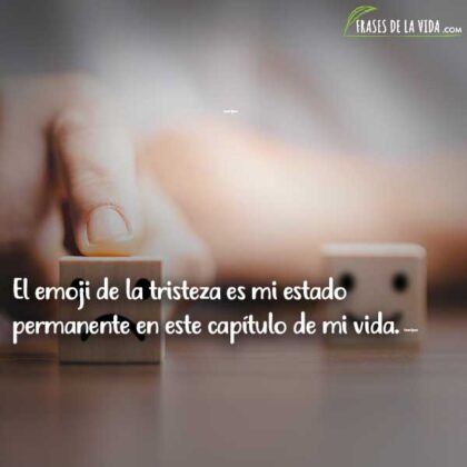 100 frases tristes | Citas de pena, tristeza y melancolía