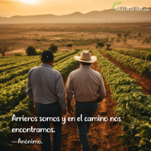 12 frases típicas de Colombia: Descubre la magia del país