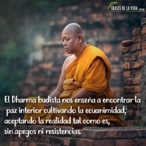 50 frases del Dharma | Citas budistas para encontrar la paz